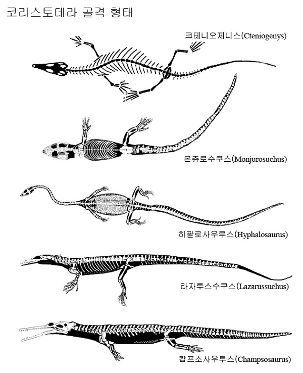 2018년 울주 암각화 주변서 발견된 4족 발자국 주인은 '코리스토데라' - 매일일보
