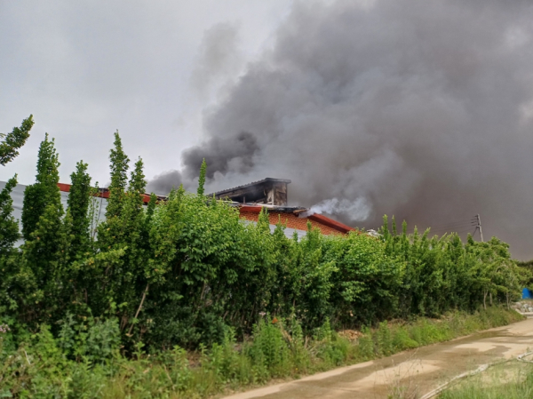 천안 풍세면 돼지 농장서 화재 - 매일일보